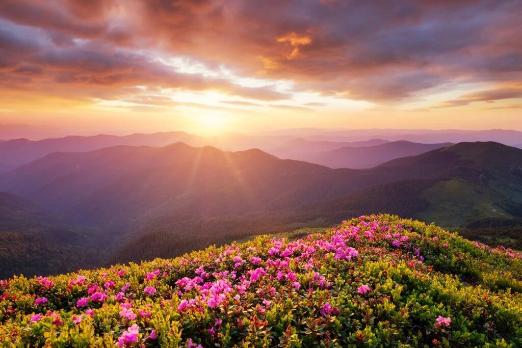 God the Mother - World Mission Society Church of God